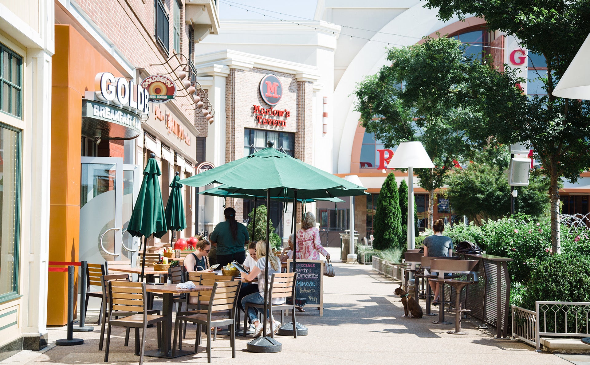 Alpharetta, GA New Homes | Towns on Thompson from The Providence Group