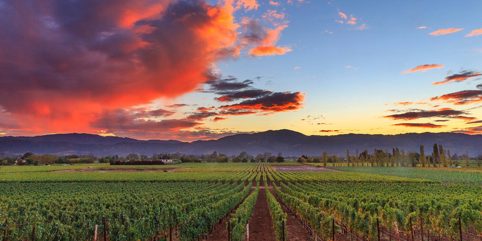 Santa Rosa Collection