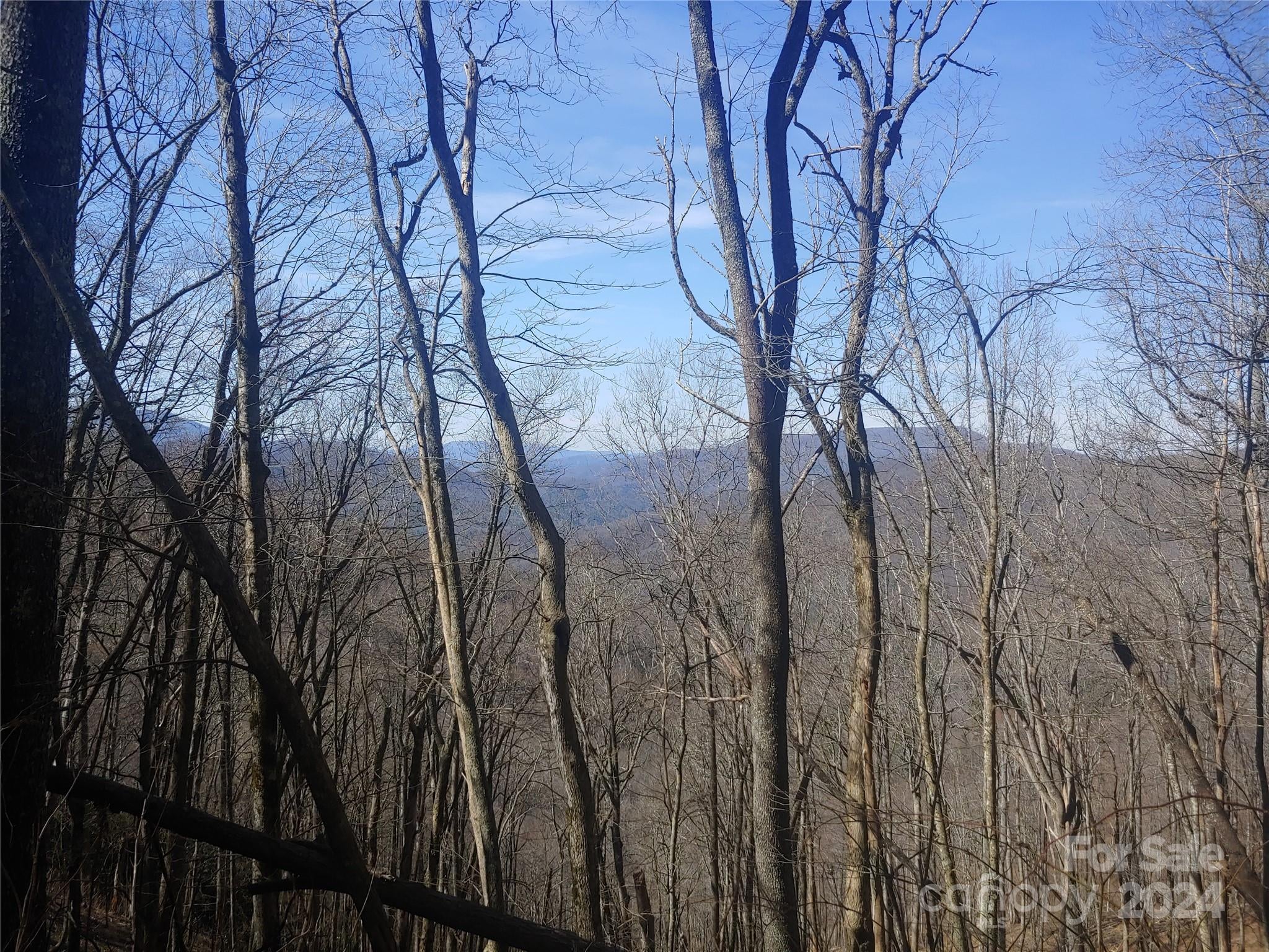 Clyde, NC Lot for Sale | CAR4116961 | Caruso Homes